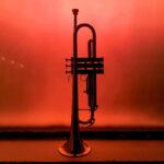 Idiophone: Definition, Geschichte, Liste - MUSIKNERD