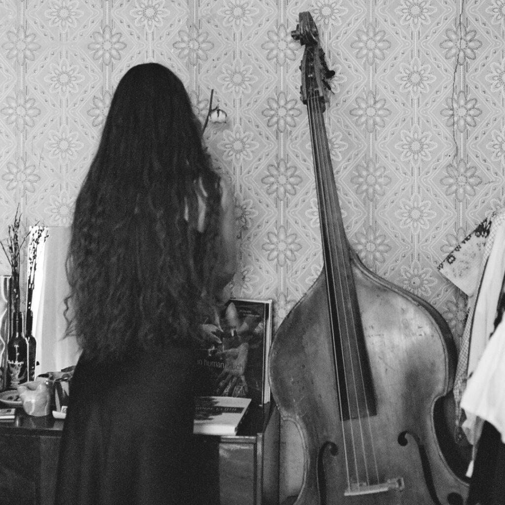 Double bass: Sound foundation and master of depth - MUSIKNERD