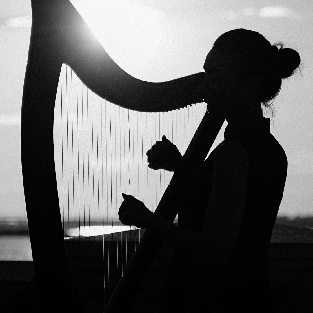 Plucked instruments: definition, history, list - MUSIKNERD