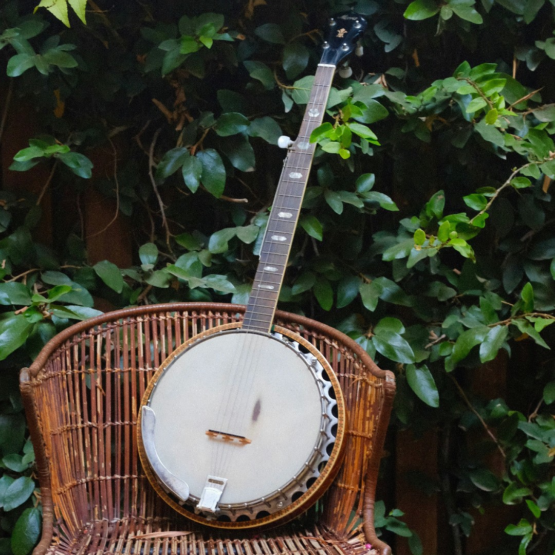 Finde dein perfektes Banjo - Sound, Style & Qualität vereint